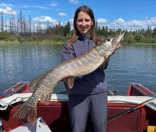 Fishing | Northern Pike, Walleye, Boat Rental | Amisk Lake, Saskatchewan